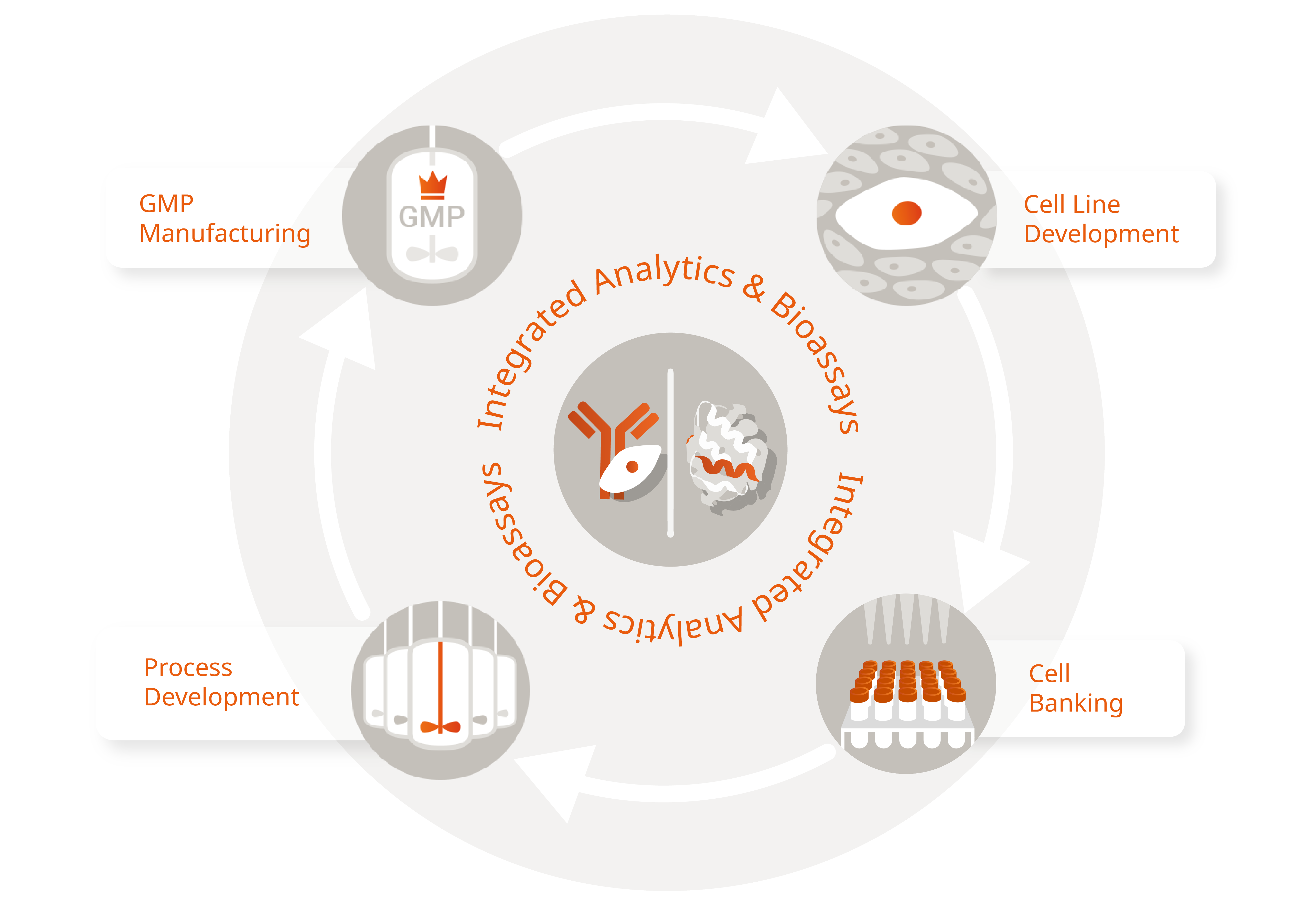 Integrated CDMO Services for Proteins & Antibodies | ProBioGen AG